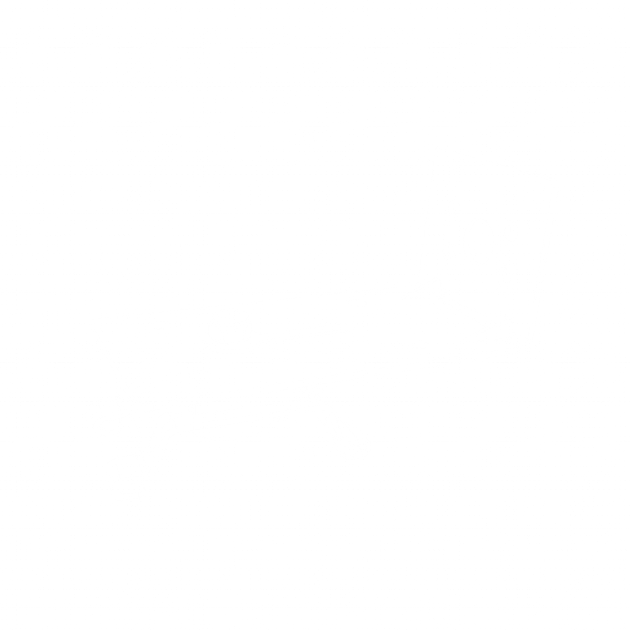 GenieClip LB3 — Pliteq MENA