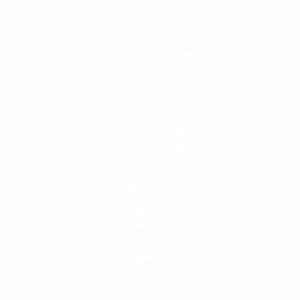 GenieClip Mount — Pliteq MENA